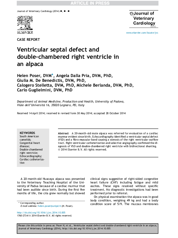 (PDF) Ventricular septal defect and double-chambered right ventricle in ...