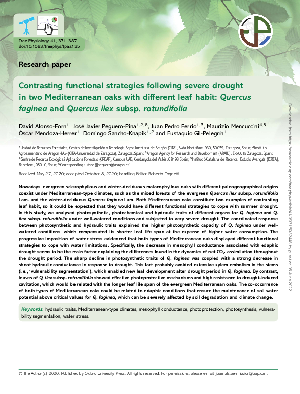 (PDF) Contrasting functional strategies following severe drought in two ...