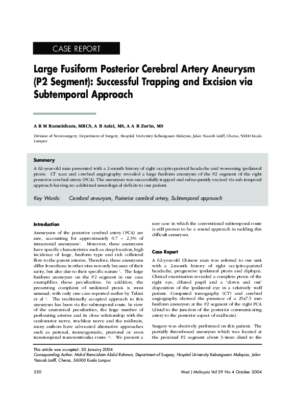 (PDF) Large fusiform posterior cerebral artery aneurysm (P2 segment ...