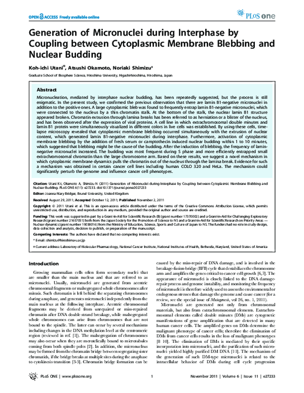 (PDF) Generation of Micronuclei during Interphase by Coupling between ...