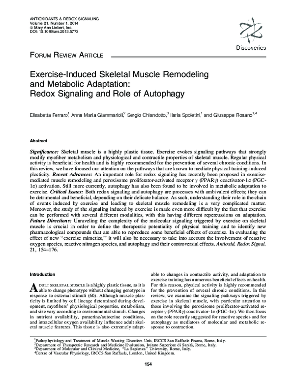 (PDF) Exercise-Induced Skeletal Muscle Remodeling and Metabolic Adaptation: Redox Signaling and ...