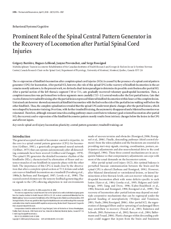 (PDF) Prominent Role of the Spinal Central Pattern Generator in the ...