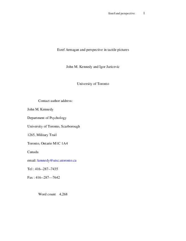 (PDF) Esref Armagan and perspective in tactile pictures