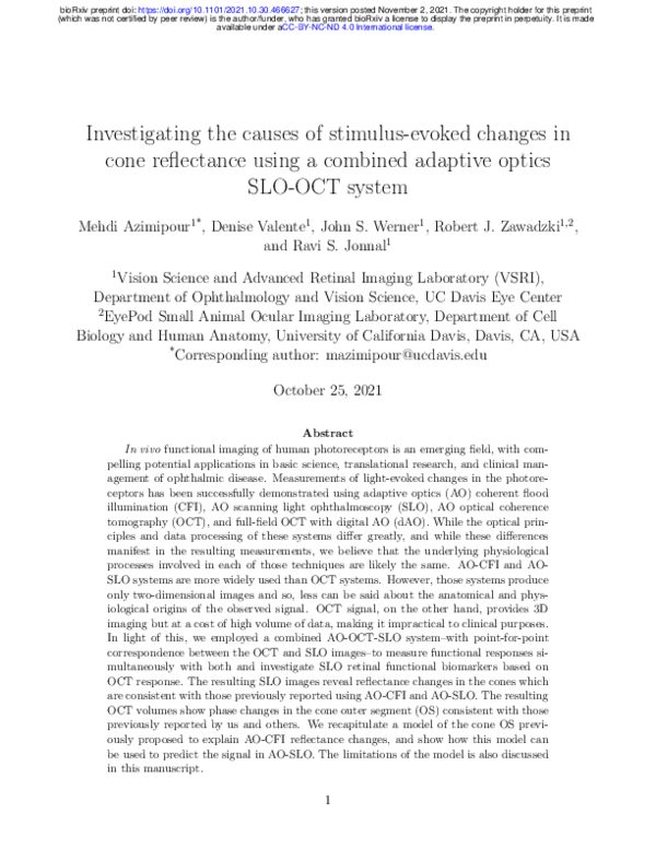 (PDF) Investigating the causes of stimulus-evoked changes in cone ...
