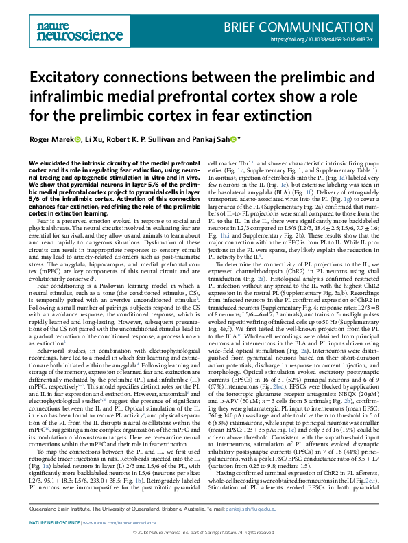 (PDF) Excitatory connections between the prelimbic and infralimbic ...
