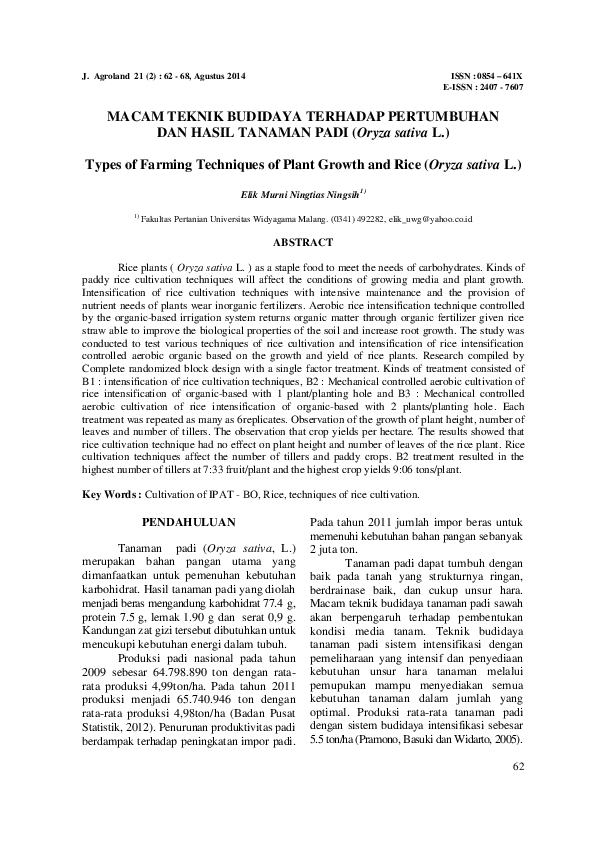 (PDF) MACAM TEKNIK BUDIDAYA TERHADAP PERTUMBUHAN DAN HASIL TANAMAN PADI (Oryza sativa L.)