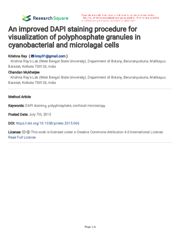 (PDF) An improved DAPI staining procedure for visualization of ...