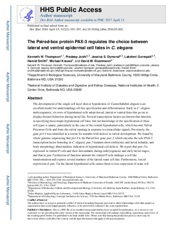 (PDF) The Paired-box protein PAX-3 regulates the choice between lateral ...