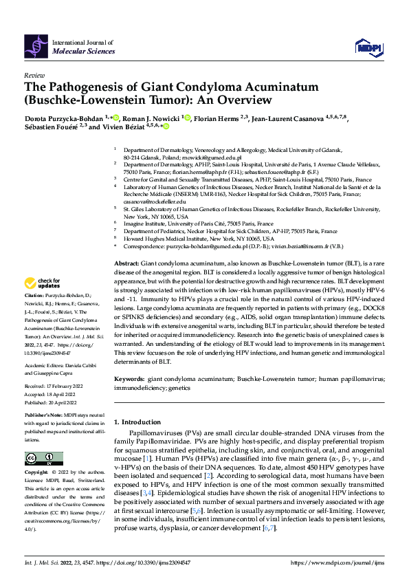 (PDF) The Pathogenesis of Giant Condyloma Acuminatum (Buschke ...