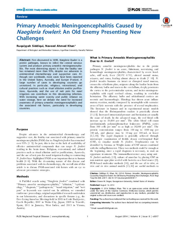 (PDF) Primary amoebic meningoencephalitis | D. Cavuoti - Academia.edu