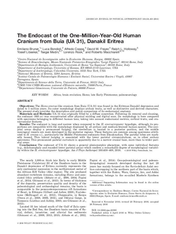 (PDF) The endocast of the one-million-year-old human cranium from Buia ...