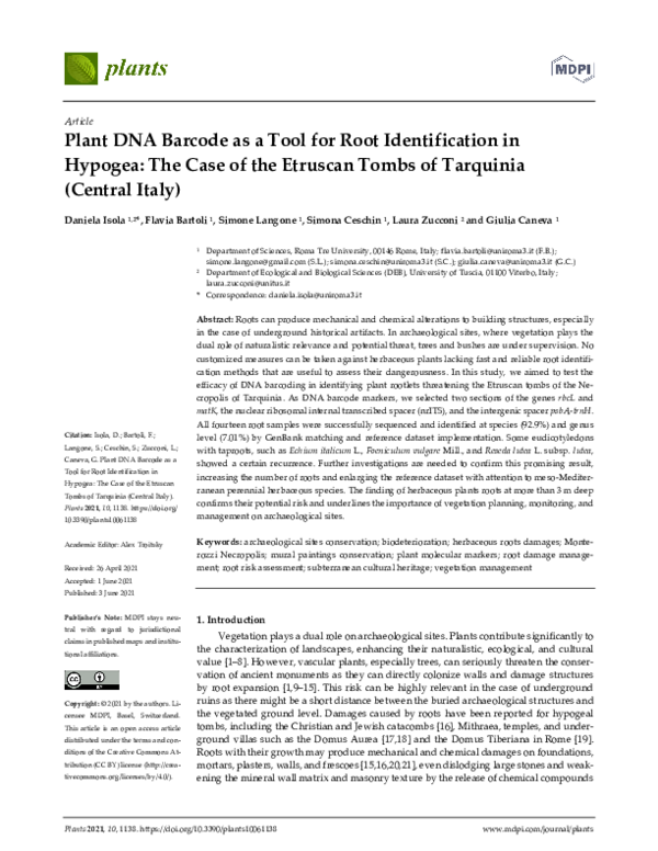 (PDF) Plant DNA Barcode as a Tool for Root Identification in Hypogea ...