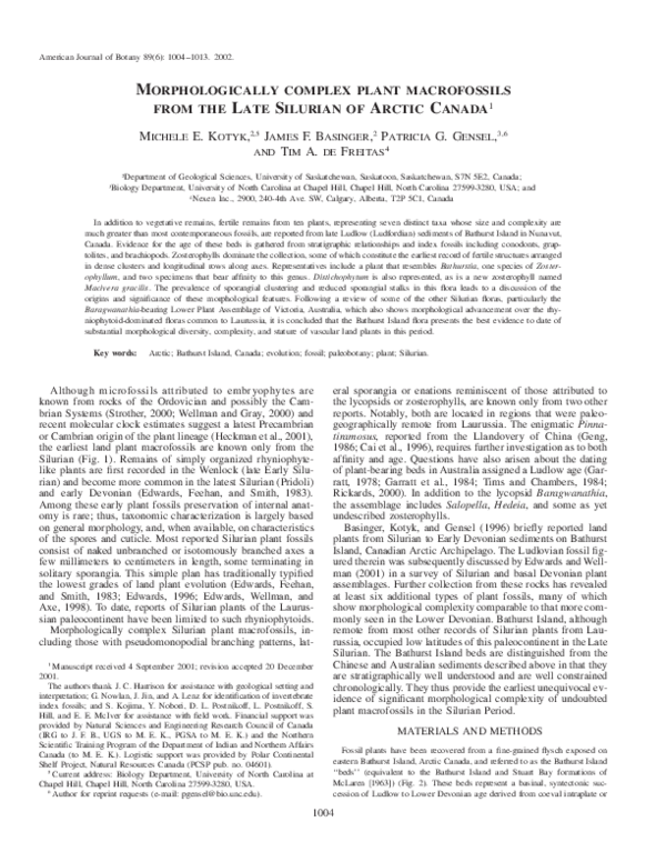 (PDF) Morphologically complex plant macrofossils from the Late Silurian ...