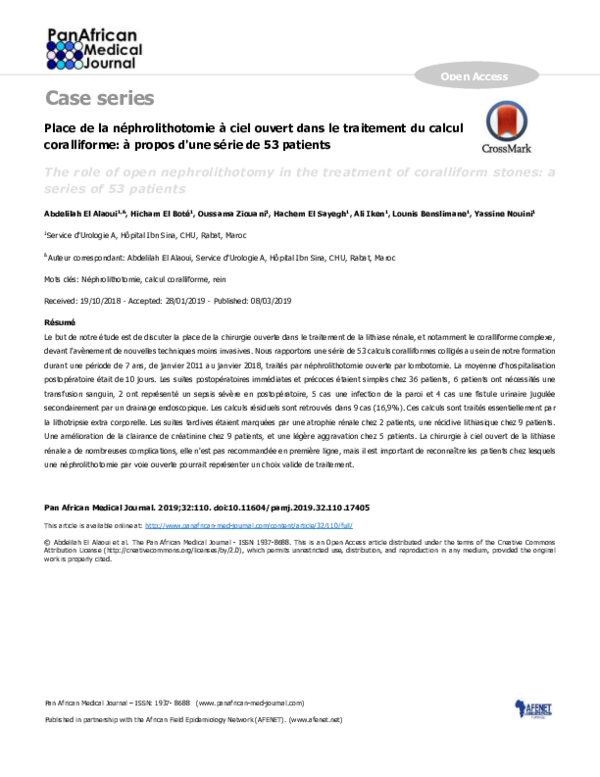 (PDF) Place de la néphrolithotomie à ciel ouvert dans le traitement du ...