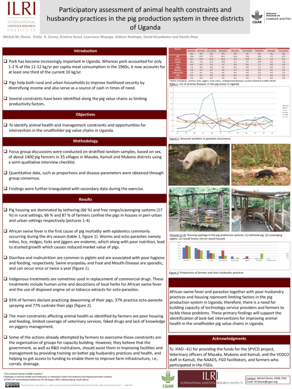 (PDF) Participatory assessment of animal health constraints and ...