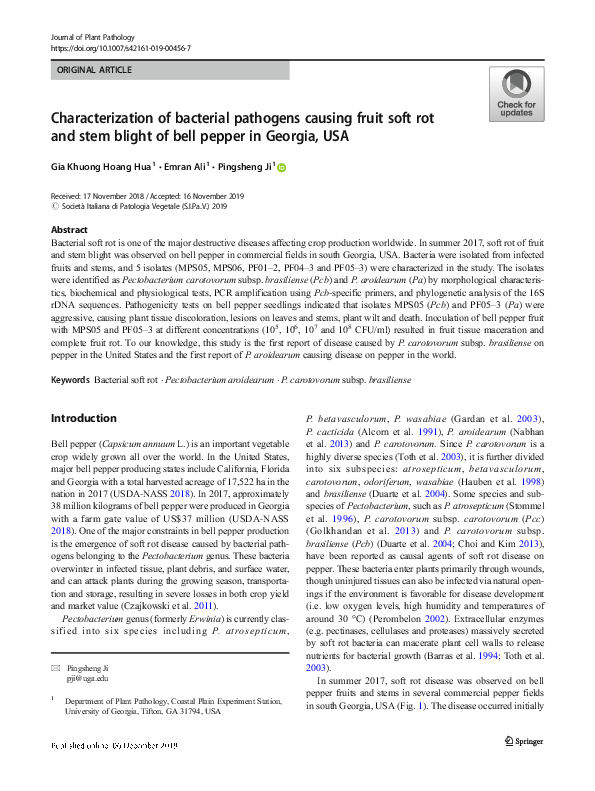 (PDF) Characterization of bacterial pathogens causing fruit soft rot ...