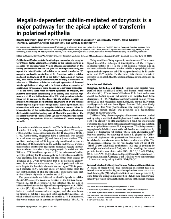 (PDF) Megalin-dependent cubilin-mediated endocytosis is a major pathway ...