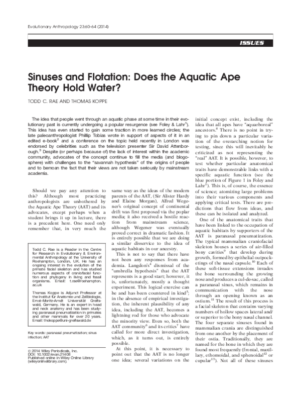 (PDF) Sinuses and flotation: Does the aquatic ape theory hold water?
