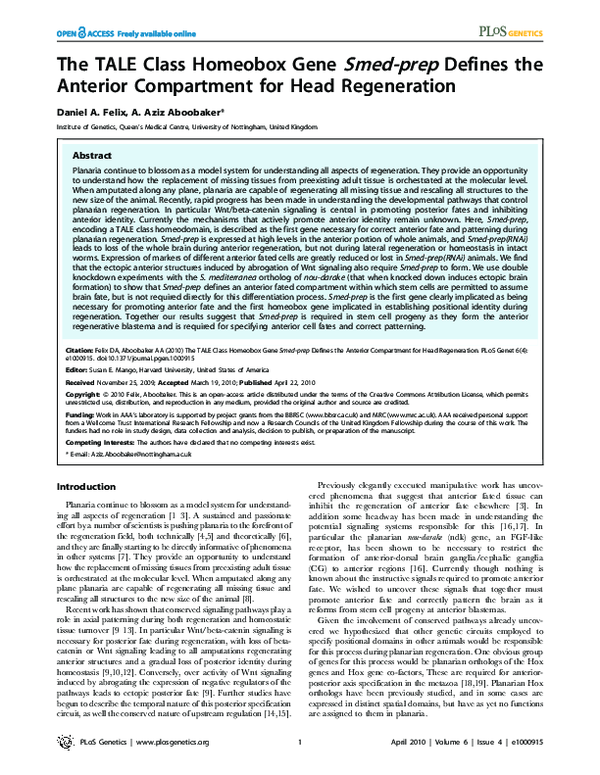 (PDF) The TALE Class Homeobox Gene Smed-prep Defines the Anterior ...