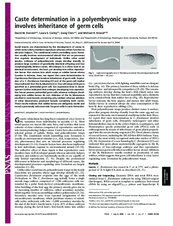 (PDF) Faculty of 1000 evaluation for Caste determination in a ...