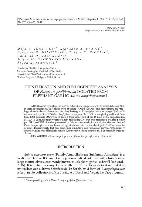 (PDF) Identification and phylogenetic analysis of Fusarium proliferatum isolated from elephant ...