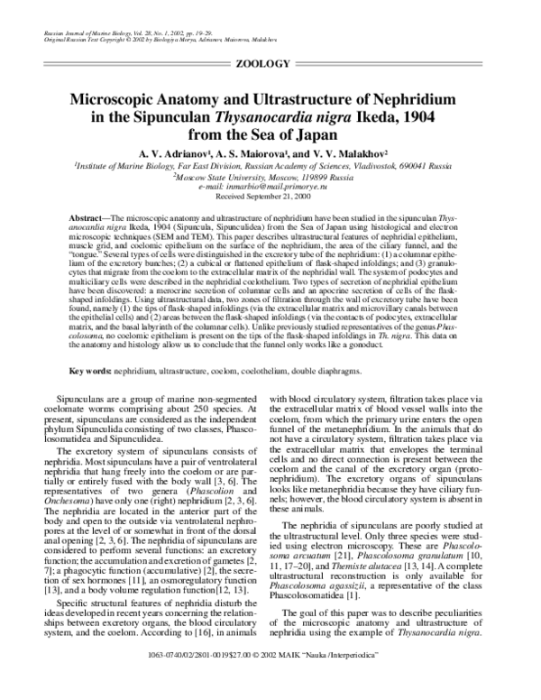 (PDF) Microscopic Anatomy and Ultrastructure of Nephridium in the ...