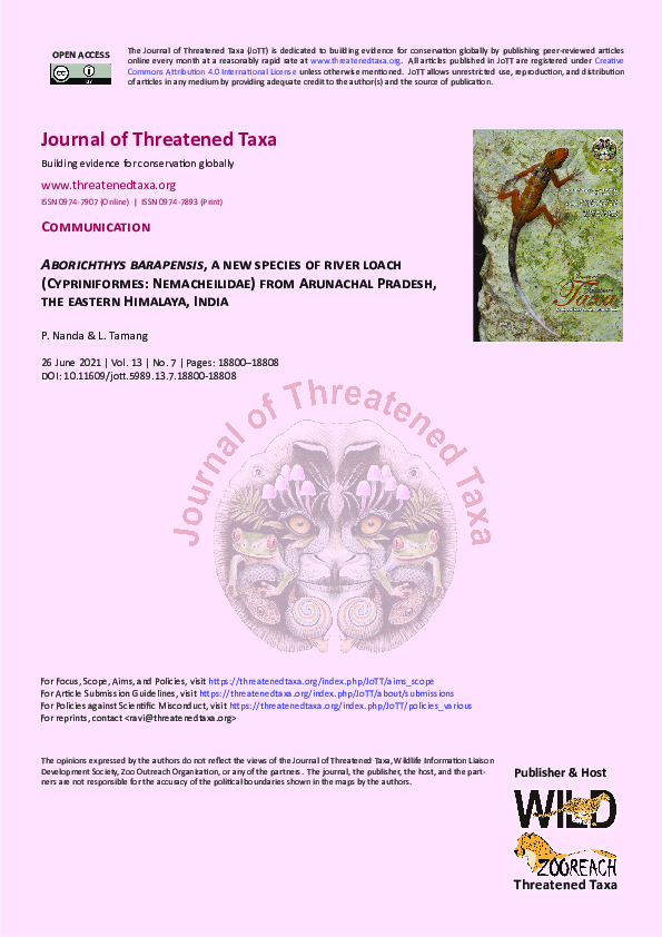 (PDF) Aborichthys barapensis, a new species of river loach ...