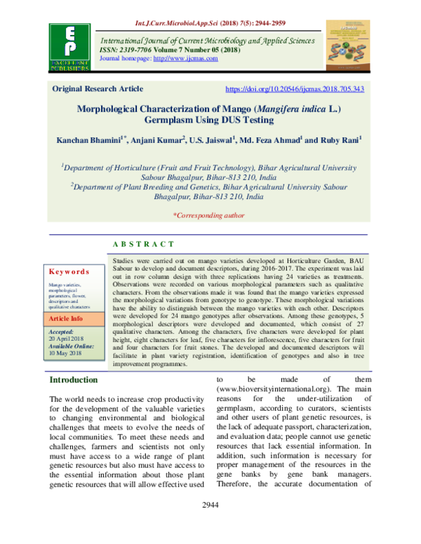 (PDF) Morphological Characterization of Mango (Mangifera indica L ...