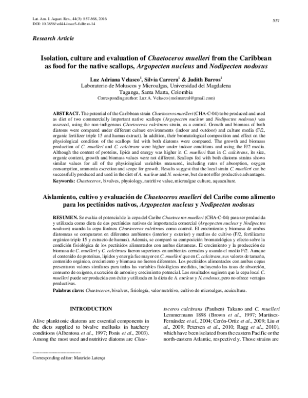 (PDF) Experimental larval culture of the Caribbean scallops Argopecten ...