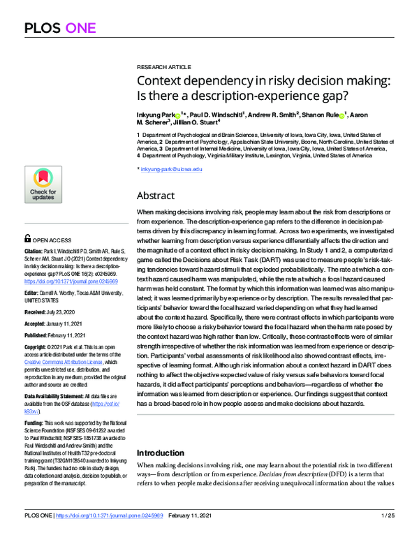 (PDF) Context dependency in risky decision making: Is there a ...