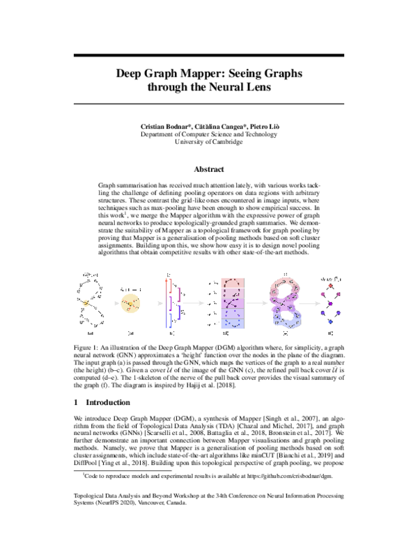 (PDF) Deep Graph Mapper: Seeing Graphs Through the Neural Lens