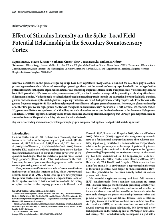 (PDF) Spike-LFP Relationship in Somatosensory Cortex