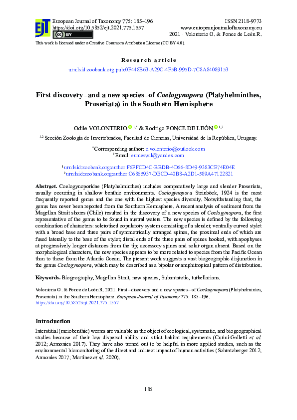 (PDF) First discovery – and a new species – of Coelogynopora ...