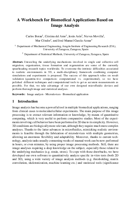 (PDF) A Workbench for Biomedical Applications Based on Image Analysis