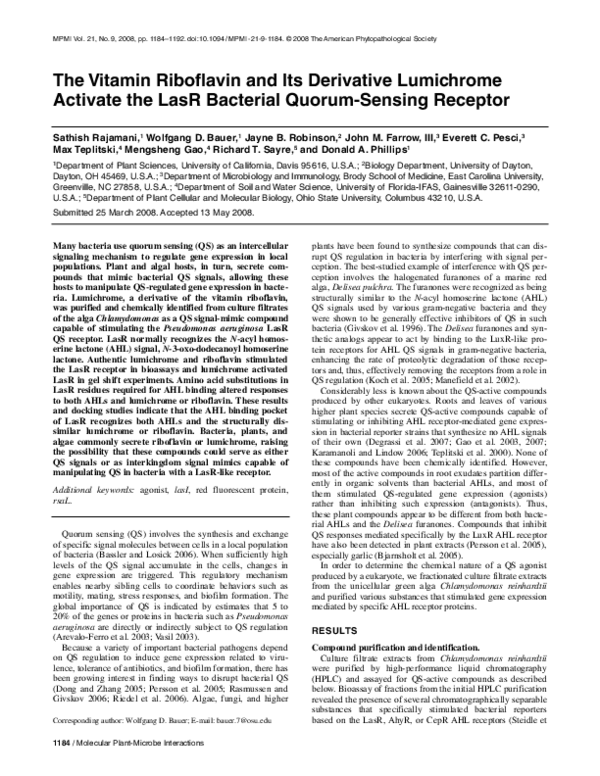 (PDF) The Vitamin Riboflavin and Its Derivative Lumichrome Activate the ...