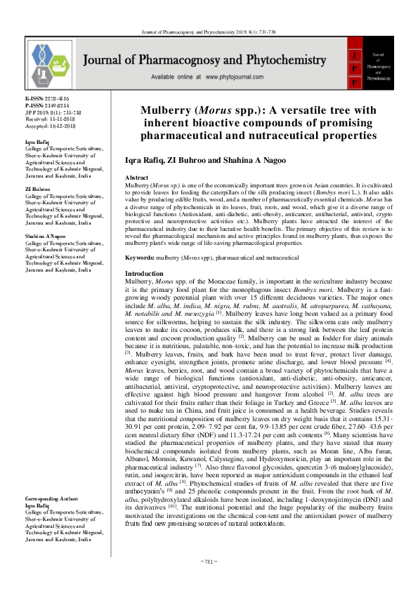 (PDF) Mulberry (Morus spp.): A versatile tree with inherent bioactive ...