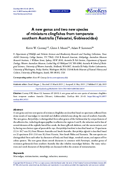 (PDF) A New Genus and Two New Species of Clingfishes (Gobiesocidae ...