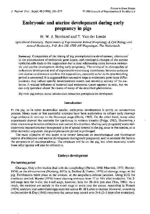 (PDF) Embryonic and uterine development during early pregnancy in pigs