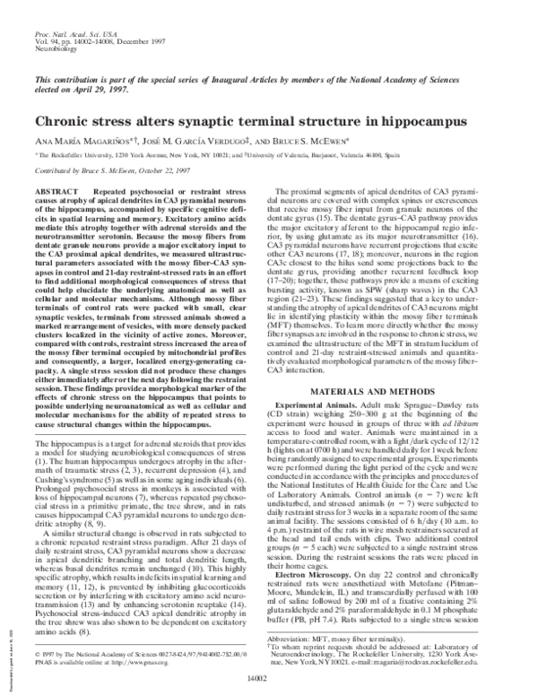 (PDF) Chronic stress alters synaptic terminal structure in hippocampus
