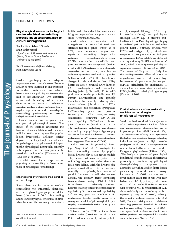 (PDF) Physiological versus pathological cardiac electrical remodelling ...