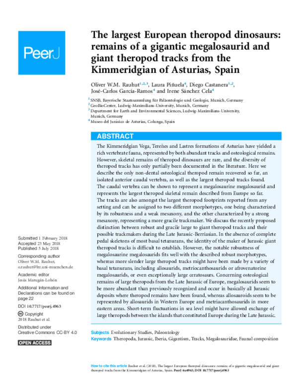(PDF) The largest European theropod dinosaurs: remains of a gigantic ...