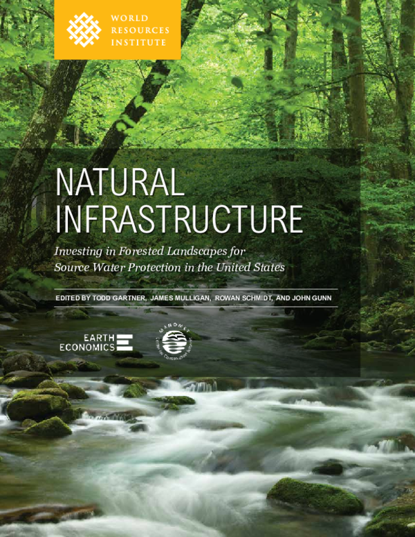 (PDF) Natural Infrastructure: Investing in Forested Landscapes for ...