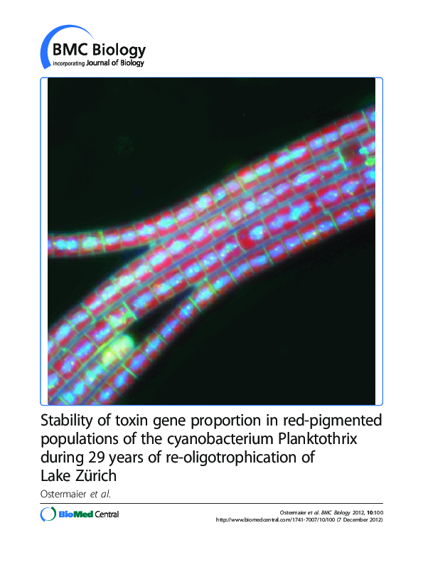 (PDF) Stability of toxin gene proportion in red-pigmented populations ...