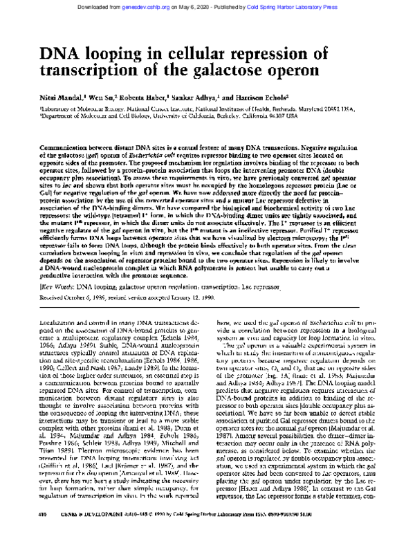 (PDF) DNA looping in cellular repression of transcription of the ...
