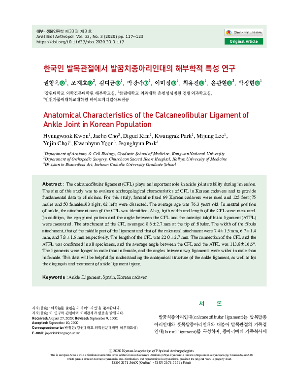 PDF Anatomical Characteristics Of The Calcaneofibular Ligament Of PDF Anatomical Characteristics Of The Calcaneofibular Ligament Of