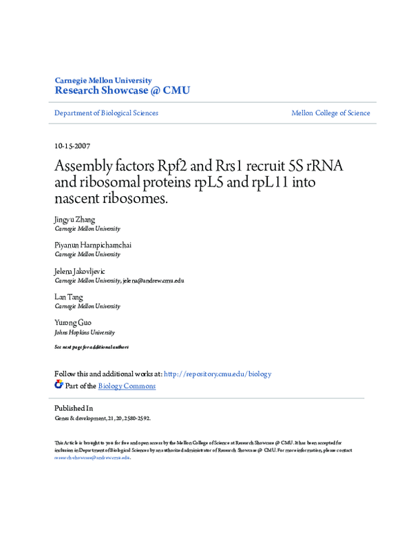 (PDF) Assembly factors Rpf2 and Rrs1 recruit 5S rRNA and ribosomal ...