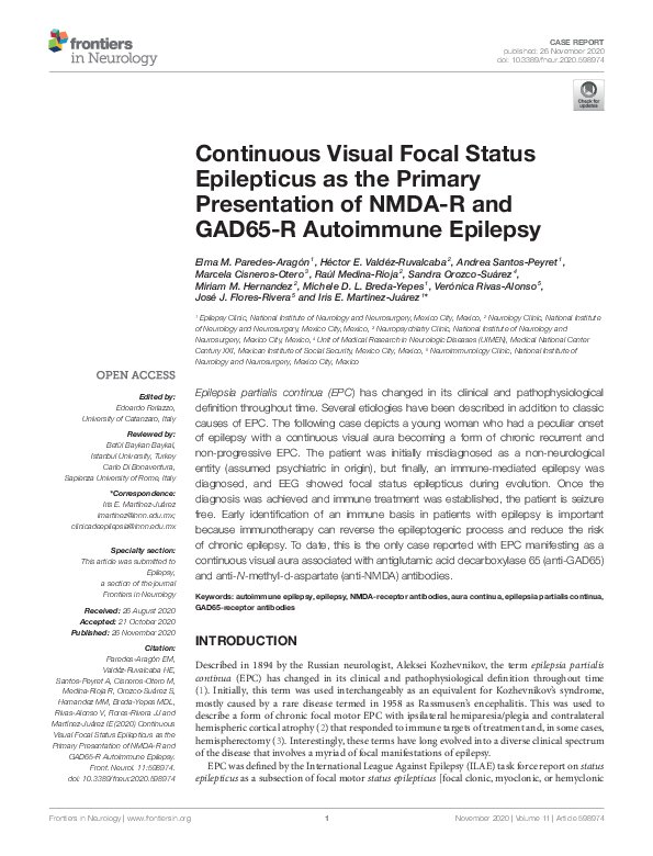 (PDF) Continuous Visual Focal Status Epilepticus as the Primary ...