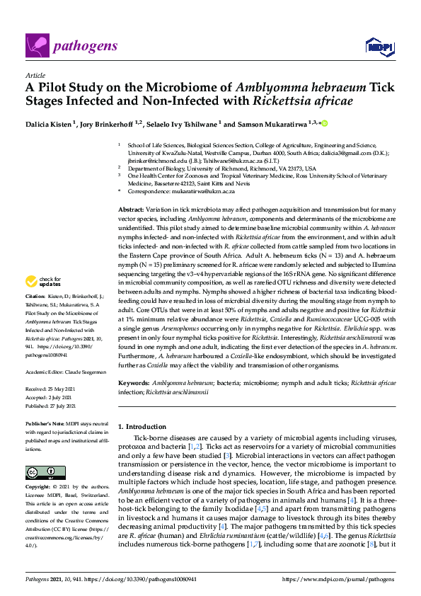 (PDF) A Pilot Study on the Microbiome of Amblyomma hebraeum Tick Stages ...