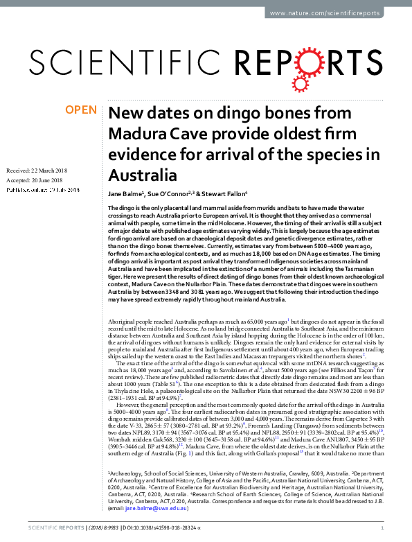 (PDF) New dates on dingo bones from Madura Cave provide oldest firm ...