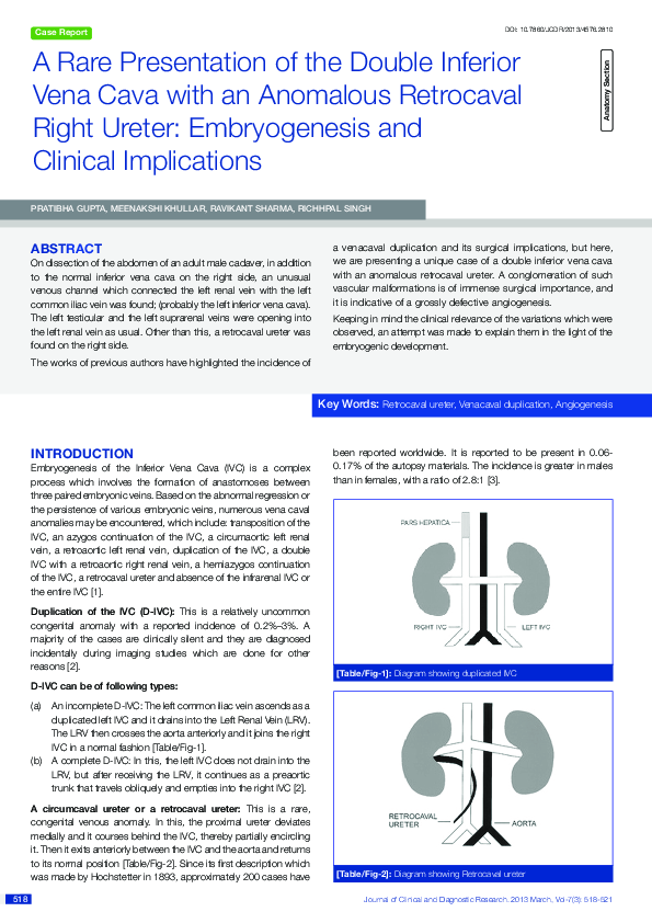 (PDF) A rare presentation of the double inferior vena cava with an ...